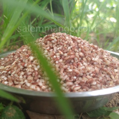 Buy Mappillai Samba Rice online | Red Traditional Rice from Salemmango
