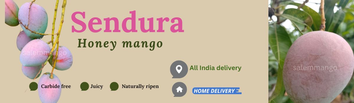 Salemmango | Buy Organic Mangoes, Rice, Jaggery Online at best price in ...